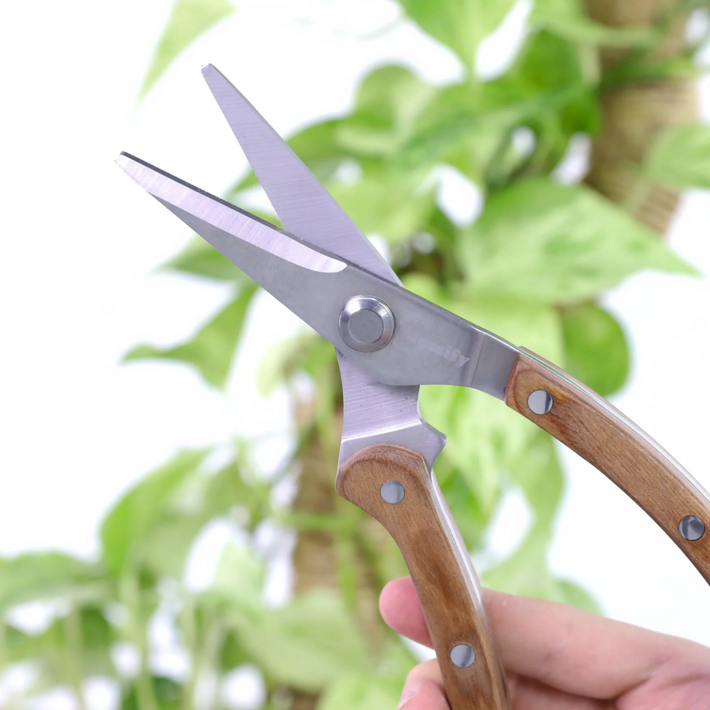 Mossify - Slim Garden Utility Shears – Mtl Flower Co.