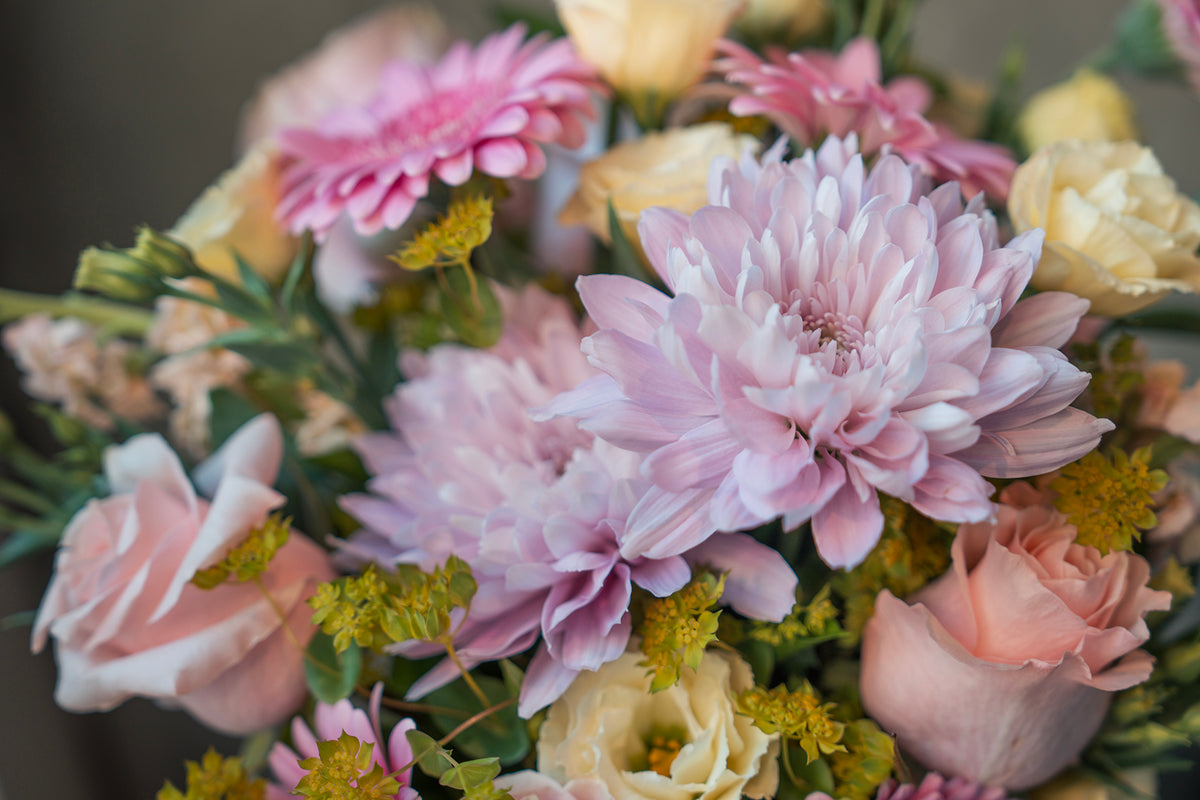 Mtl Flower Co. | Montreal's preferred premium flower delivery service.