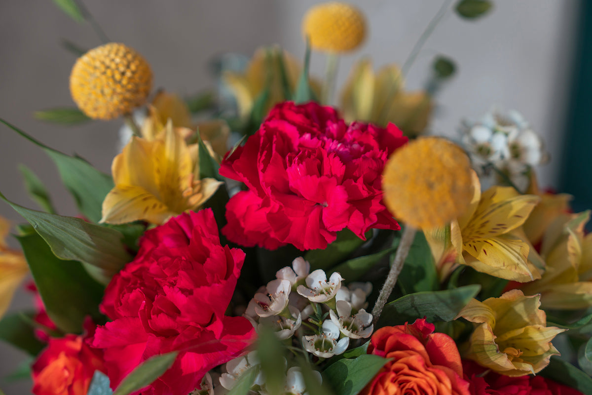Mtl Flower Co. | Montreal's preferred premium flower delivery service.